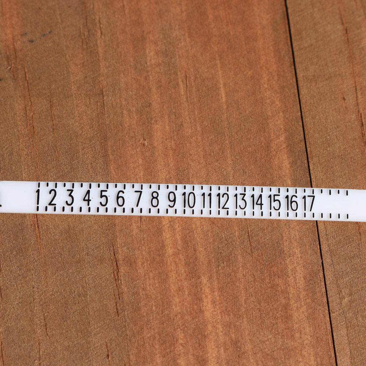 FREE Reusable Ring Sizer | Find Your Ring Size | Ring Sizing Tool ...